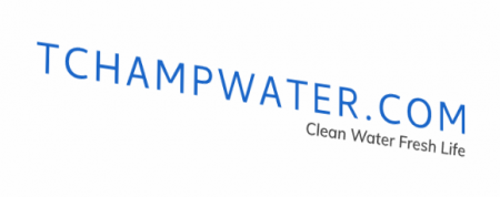 Tchamp LOGO.PNG :: Trust in You